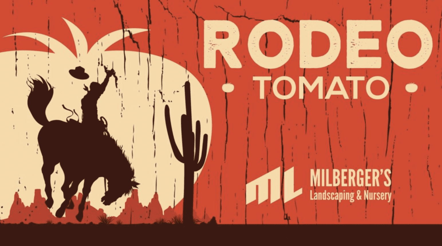Thunderbird Named 2023 Rodeo Tomato | Milberger Nursery