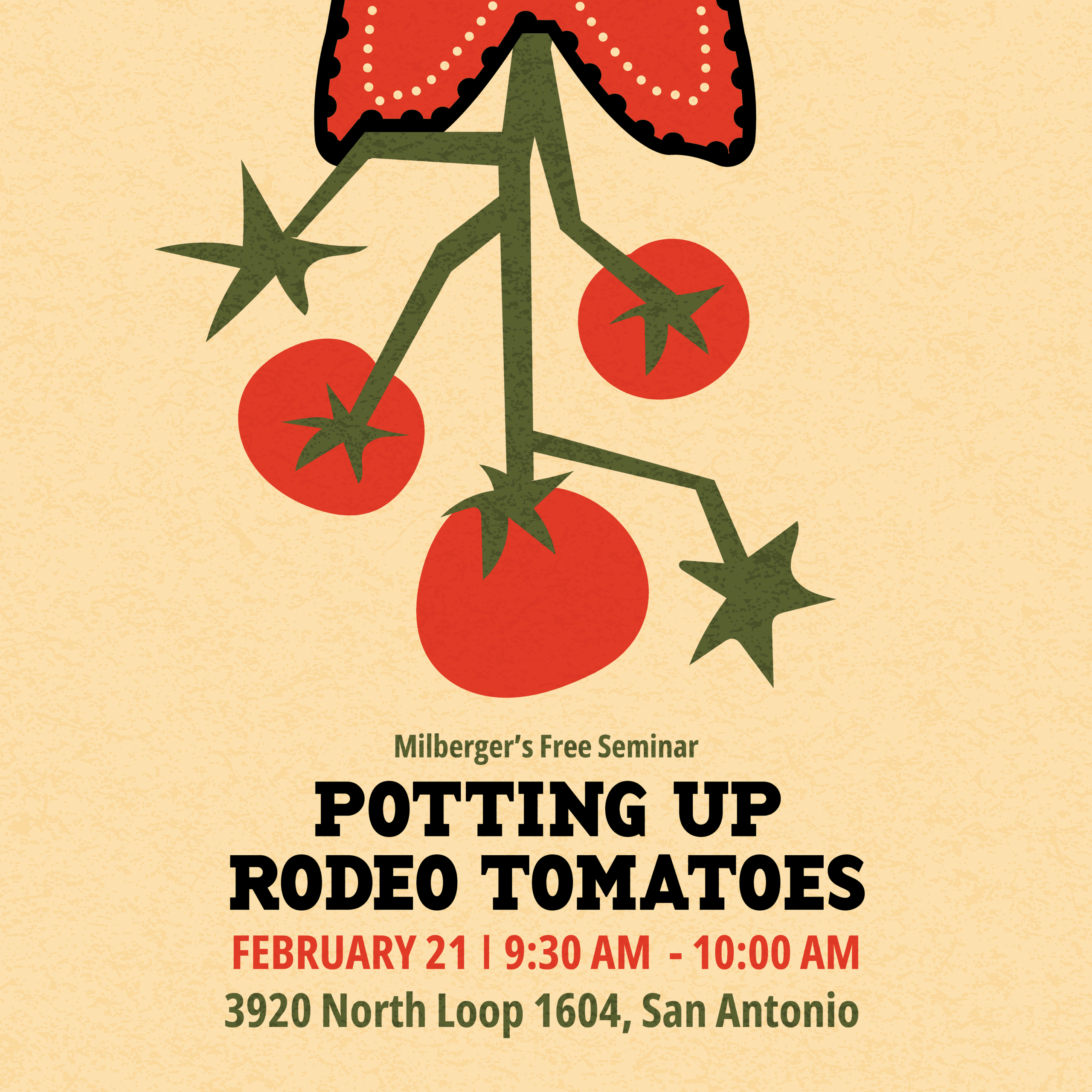 POTTING UP RODEO TOMATOES | Milberger Nursery