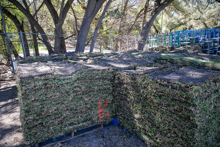 Milberger's Landscaping & Nursery's Turf Grass and Sod